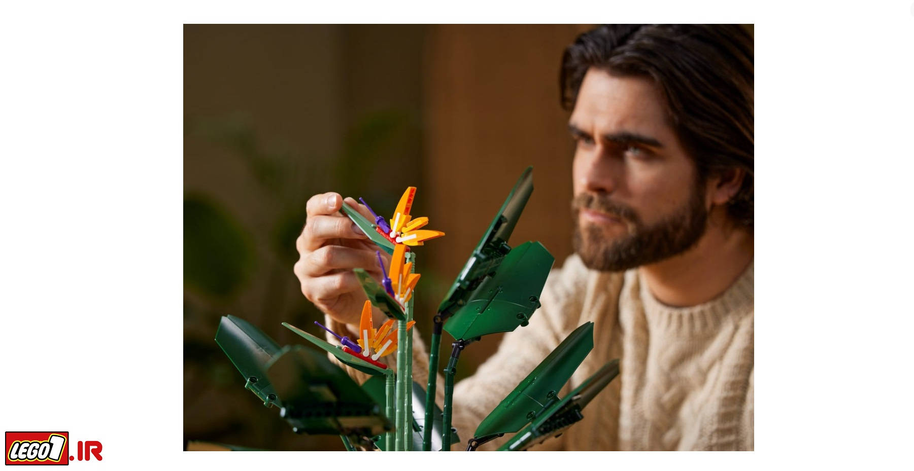 لگو آیکونز گل پرنده بهشتی-استرلیتزیا LEGO Bird of Paradise 10289 ...