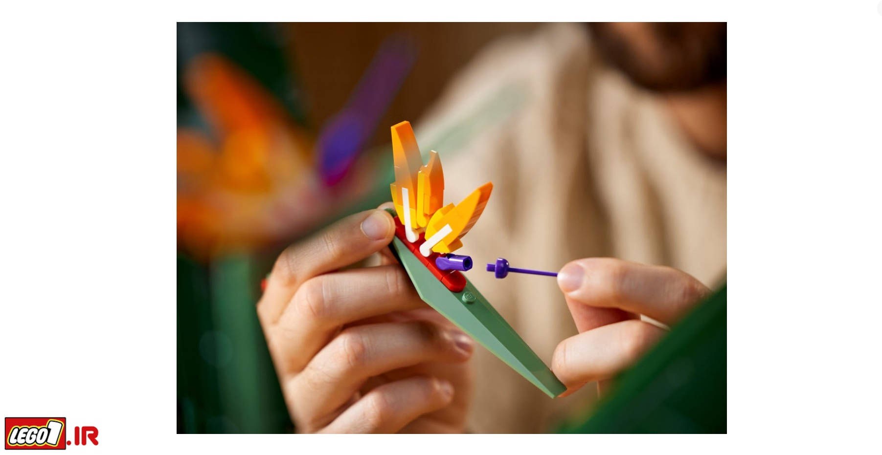 لگو آیکونز گل پرنده بهشتی-استرلیتزیا LEGO Bird of Paradise 10289 ...